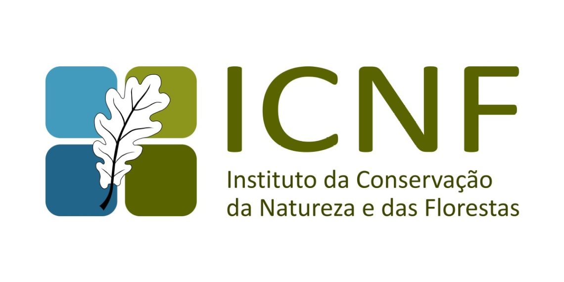 ICNF e Fundo Ambiental lançam “Floresta Ativa”, programa simplificado ...