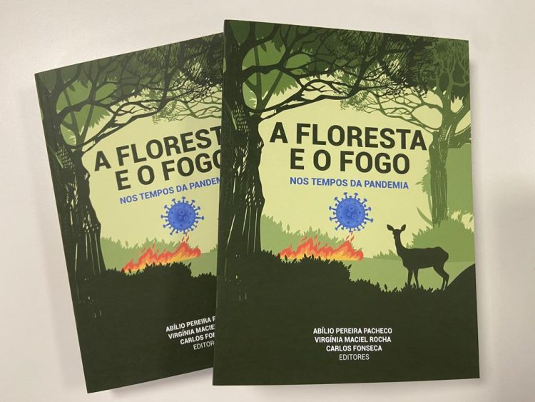 A Floresta e o fogo nos tempos da pandemia: reflexão promovida pelo CoLAB ForestWISE agora em ...
