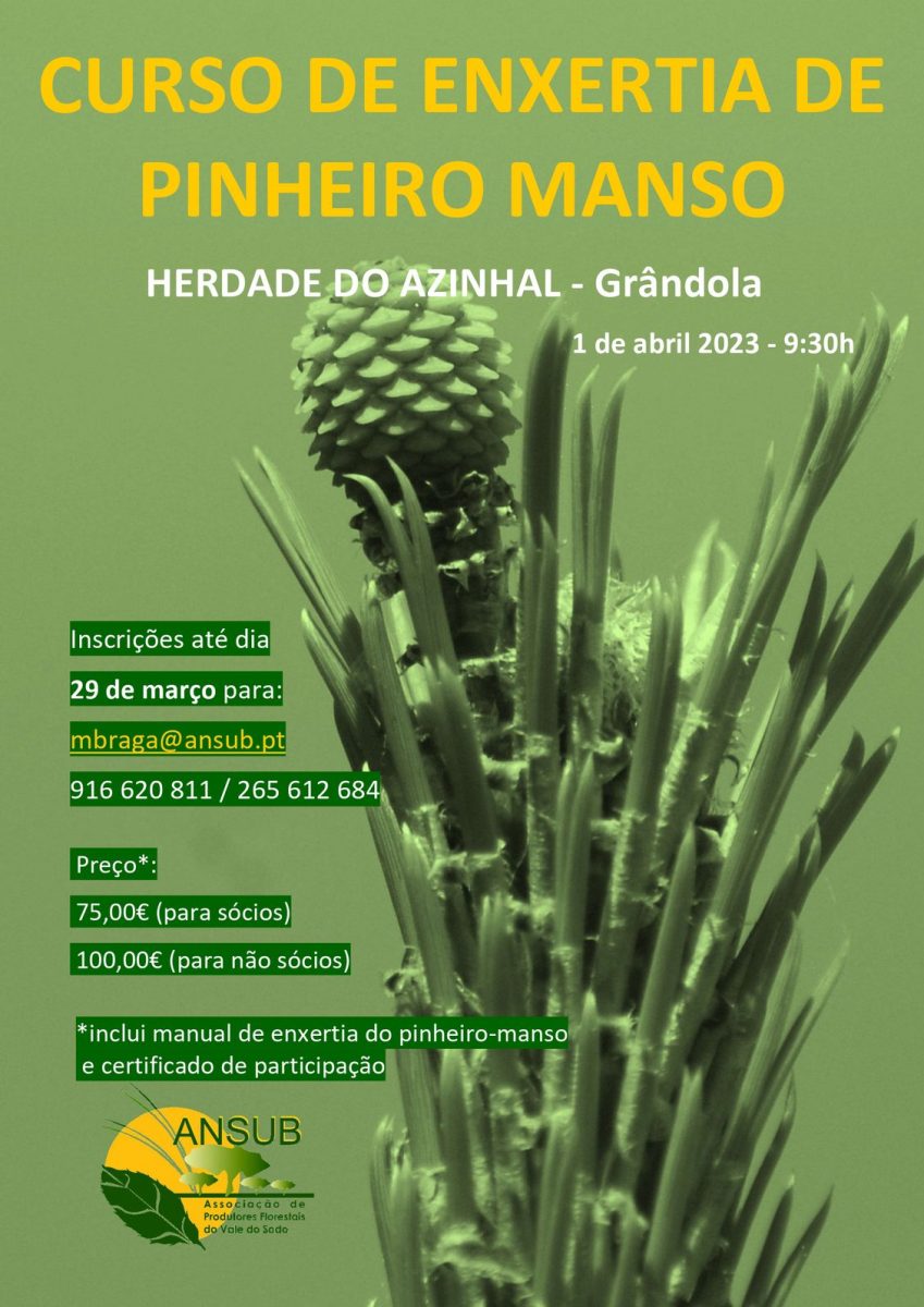 Curso de enxertia de pinheiro manso - Agroportal